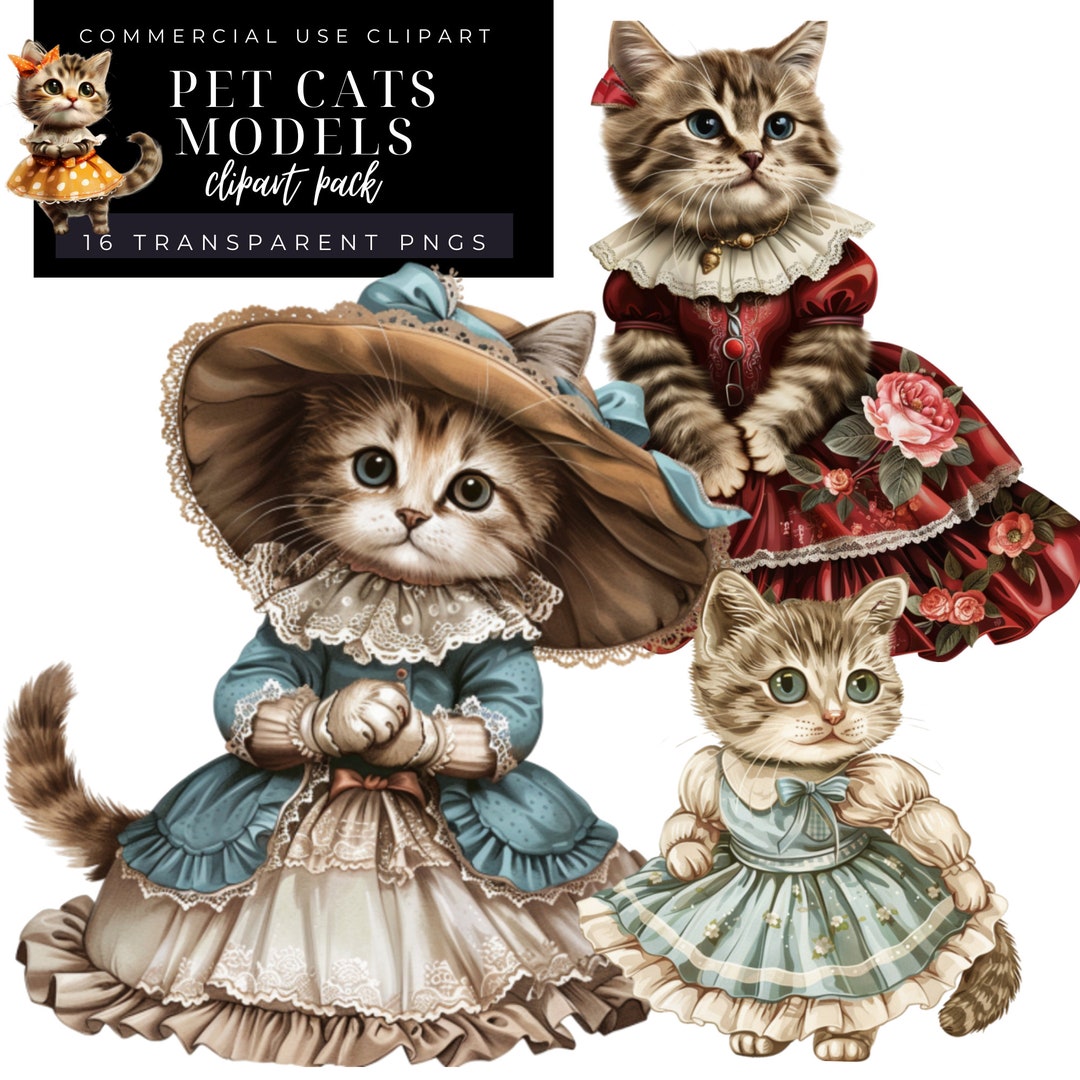 Dressed up Cat Clipart,pet Cat Models, Pet Cat PNG, Cute Cats Clipart ...