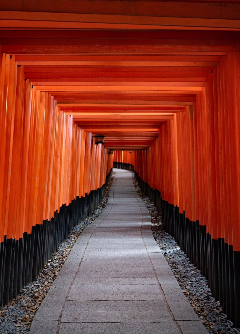 Japan Kyoto Torii Gates at Fushimi Inari Shrine Japanese Traditional ...