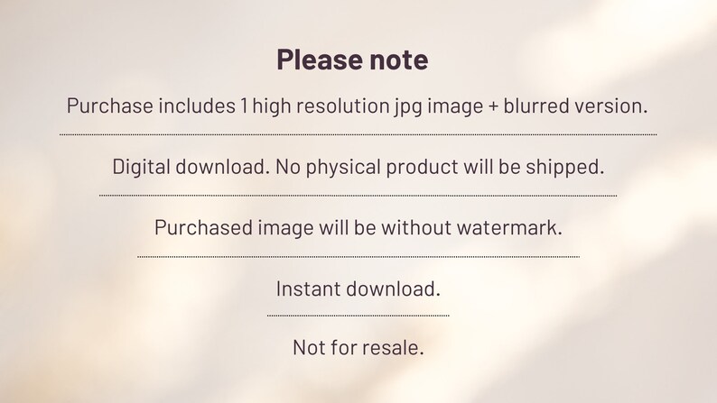 Zoom Virtual Background Backdrop Beach Palms Ocean Living - Etsy