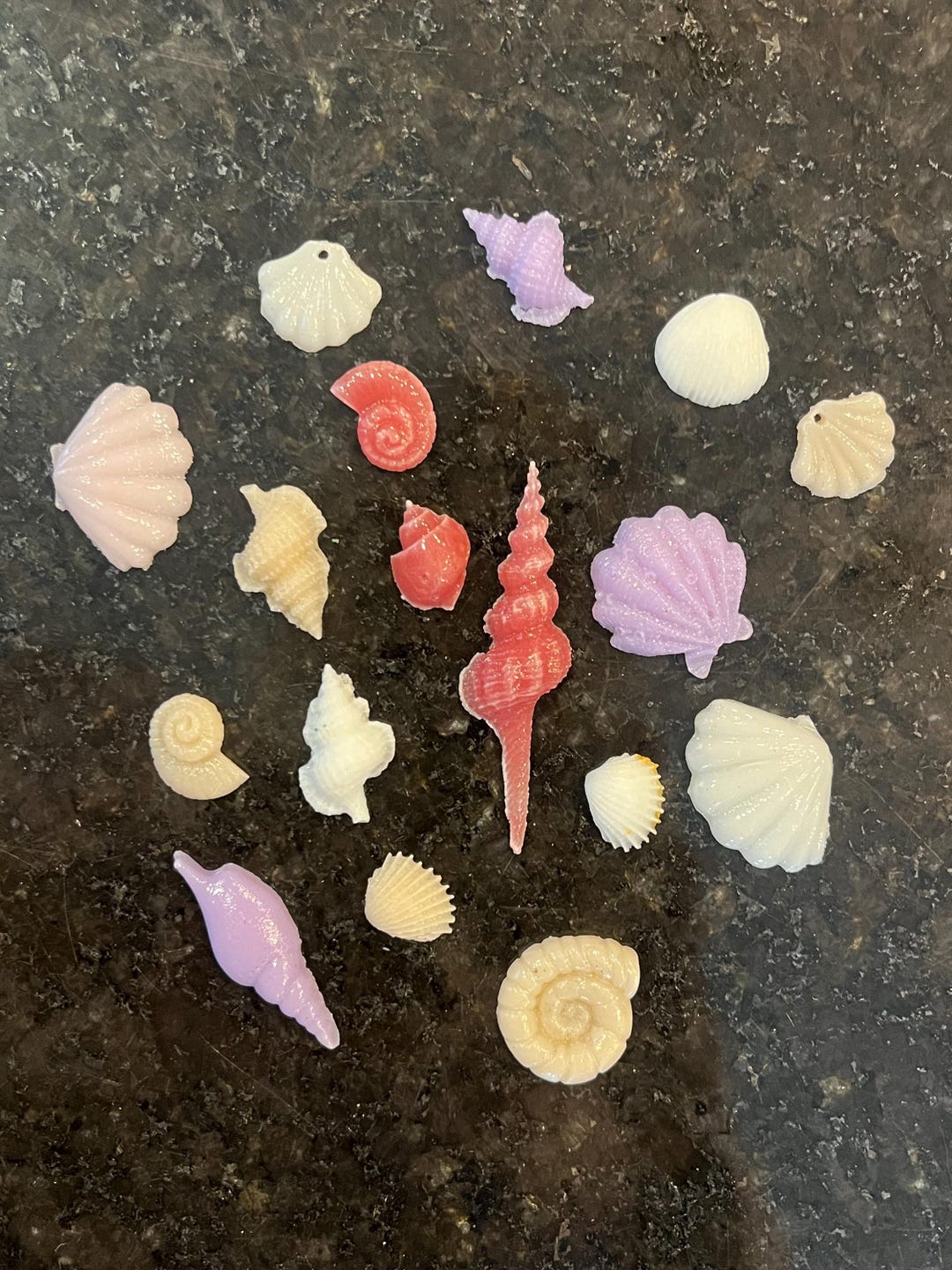 90 COE Seashell Collection - Etsy