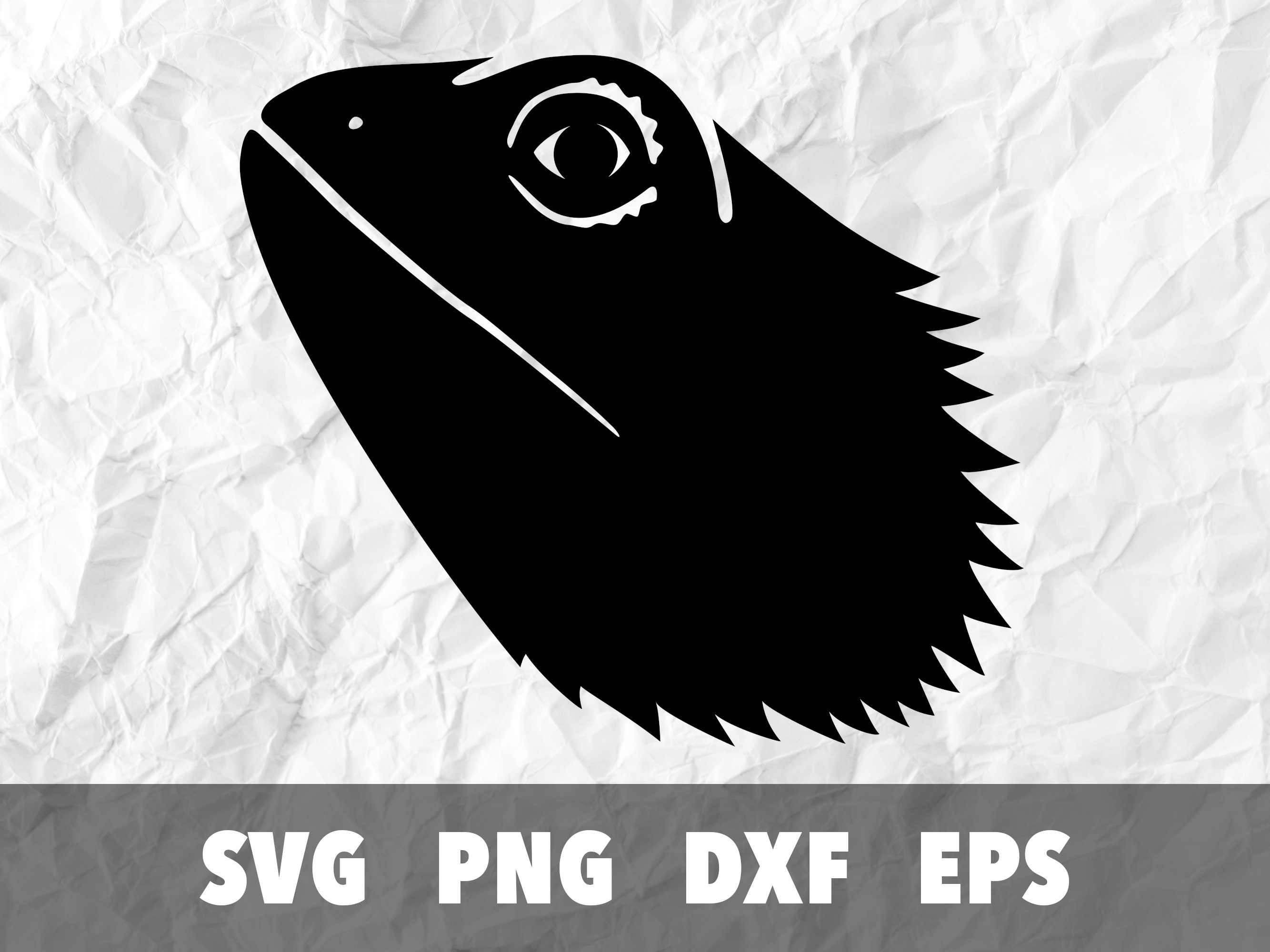 Bearded Dragon SVG - Cut File - Etsy