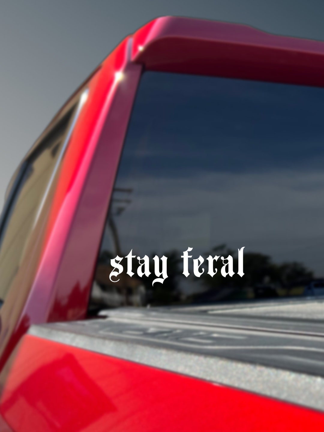 Stay Feral Decal - Holographic - Sparkle - Funny Sticker Decal - Car ...