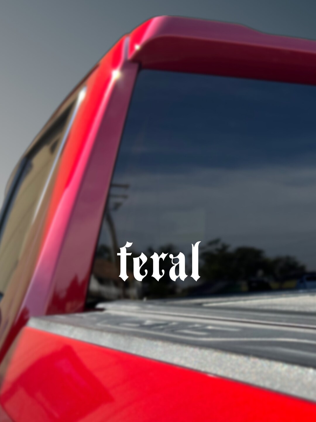 Feral Decal - Holographic - Sparkle - Funny Sticker Decal - Car Decal ...