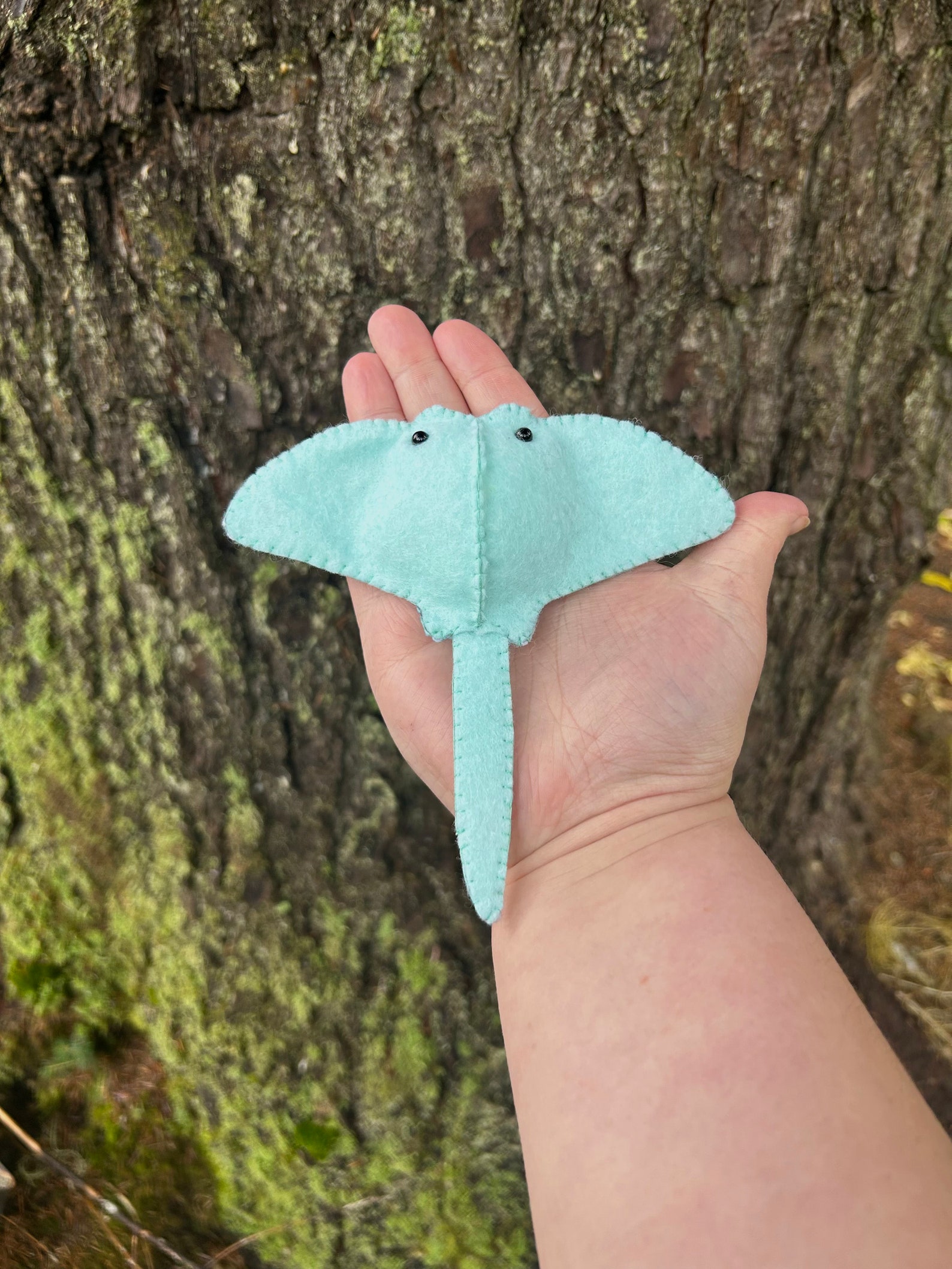 Teal Seashell Felt Stingray - Etsy