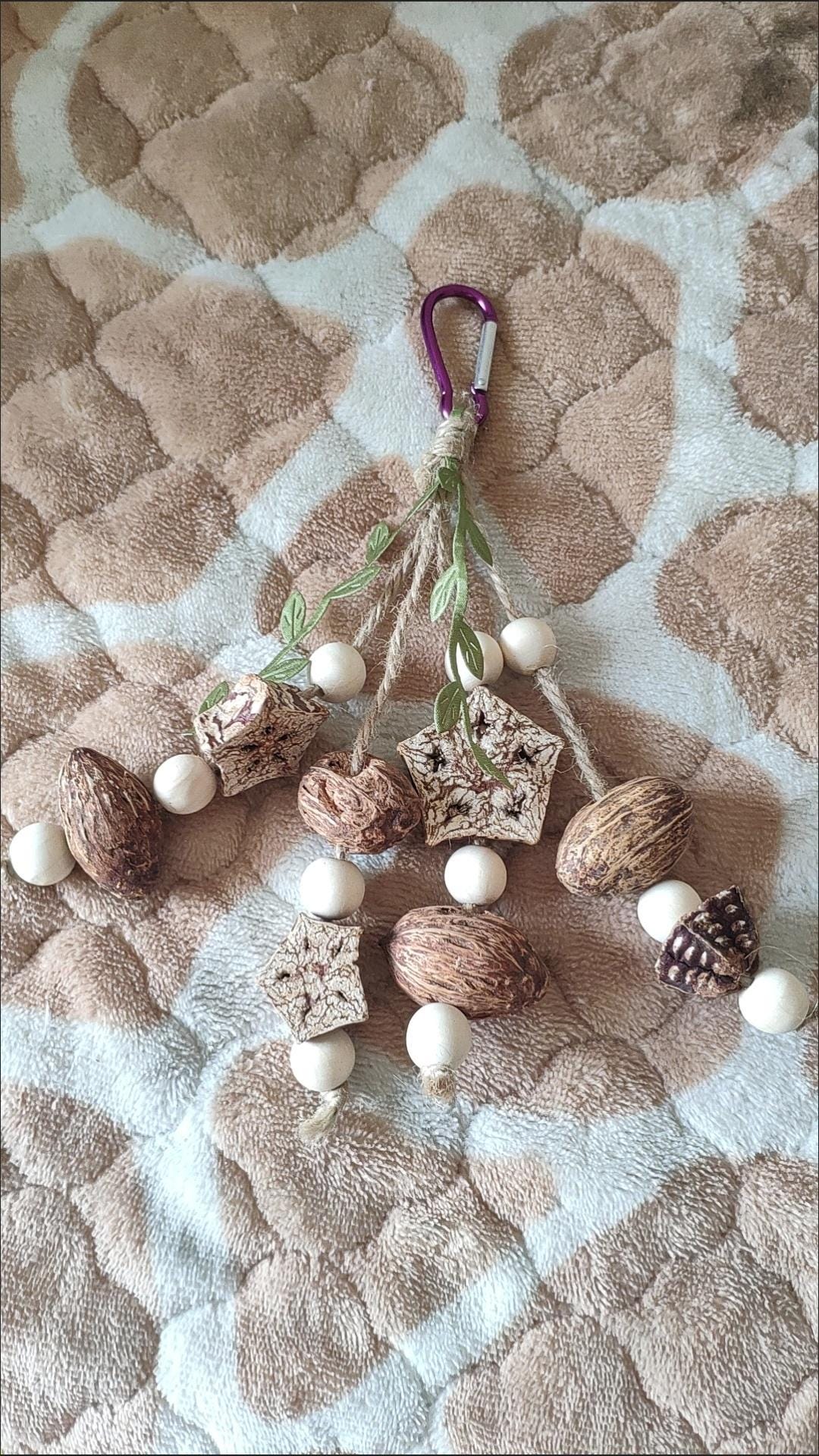 Natural Starfruit and Nut Parrot Chew Toy – Handmade Bird Foraging Toy ...
