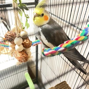 Natural Starfruit and Nut Parrot Chew Toy – Handmade Bird Foraging Toy ...