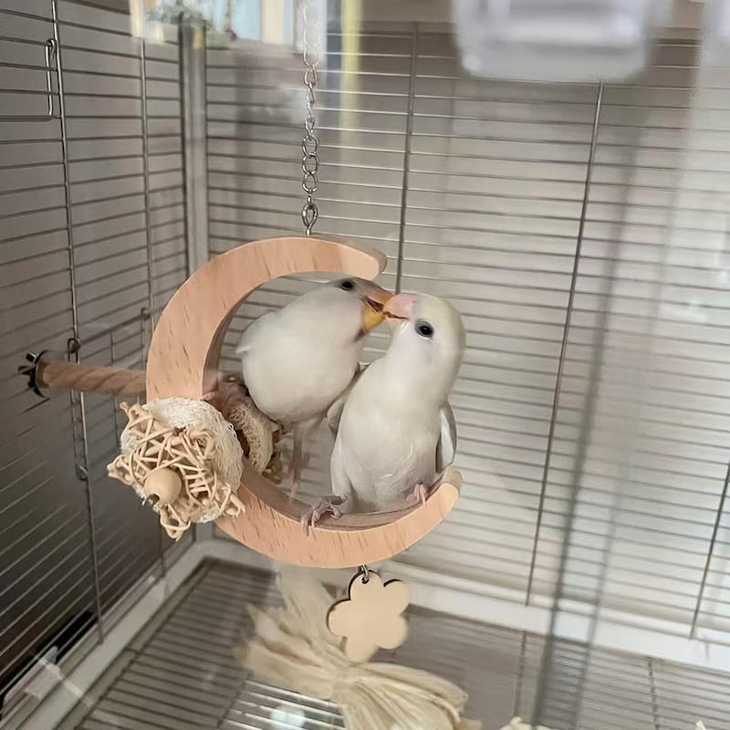 Cage Budgie Toy - Etsy