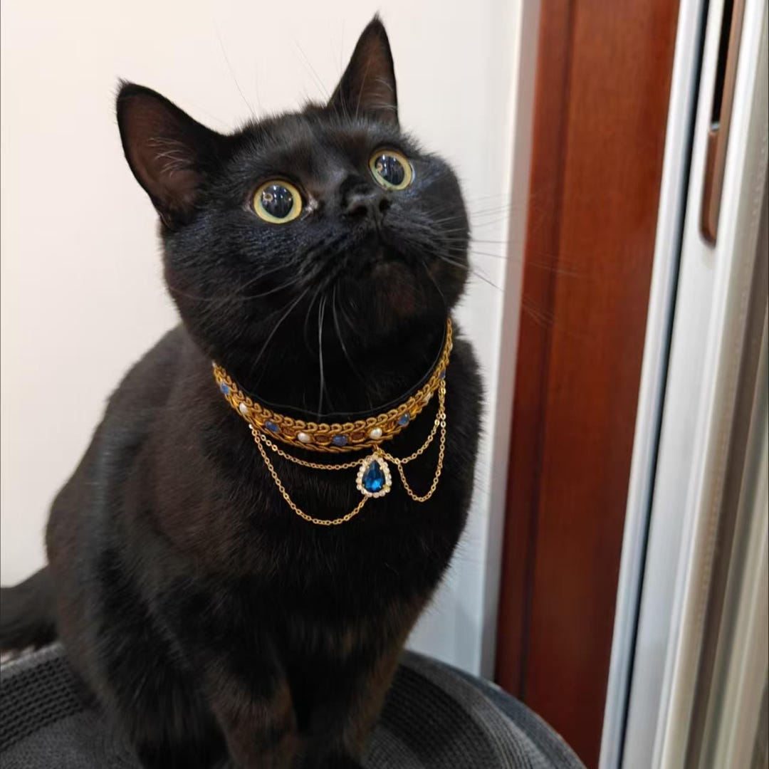 Exotic Cat Collar - Stunning Halloween Gift & Back to School Present ...