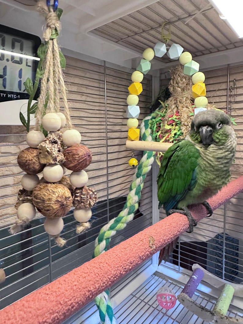 Natural Starfruit and Nut Parrot Chew Toy – Handmade Bird Foraging Toy ...