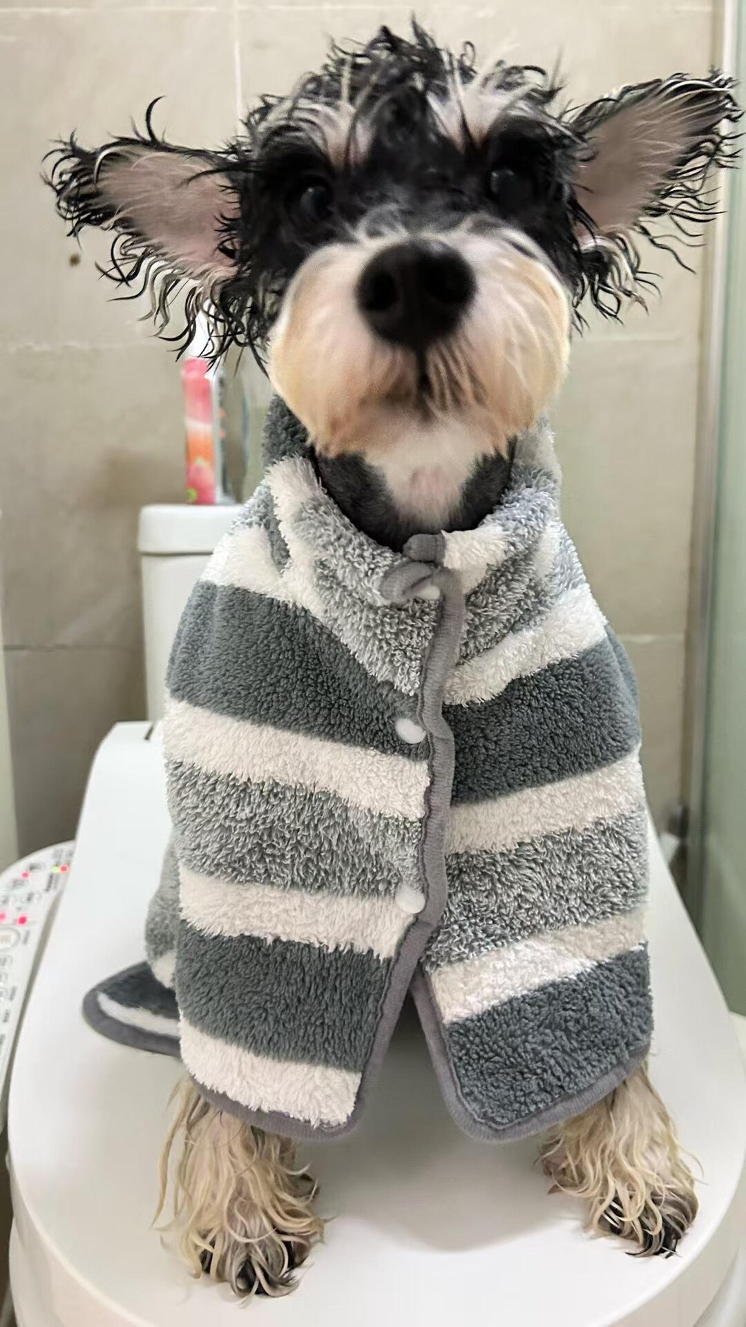 Ultra-soft Pet Bathrobe for Dogs & Cats - Quick-dry Coral Fleece Wrap ...