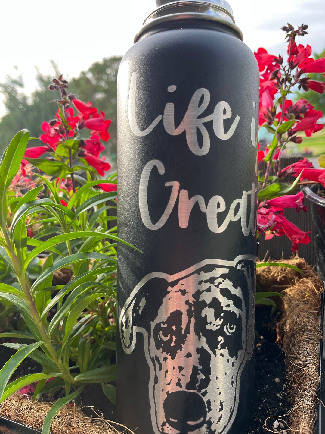 Custom Pet Photo Etched Water Bottle - Etsy