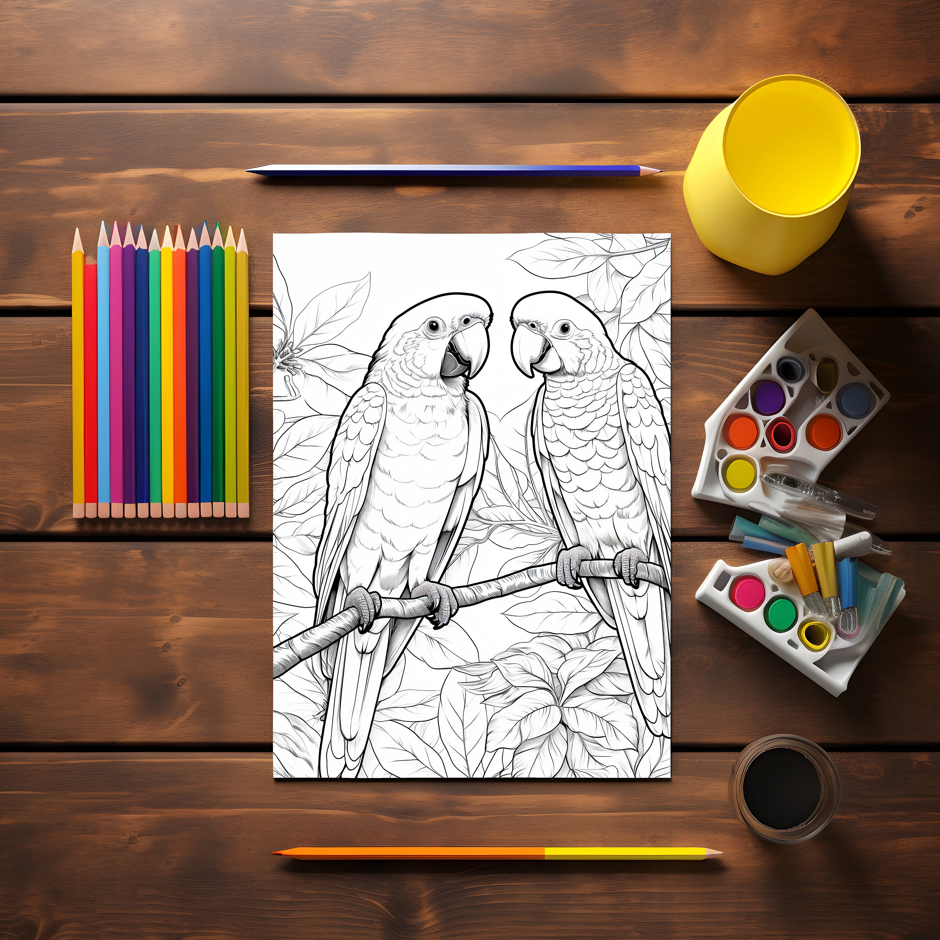20 Native Birds Coloring Page Book, Adults and Kids, Instant Download ...