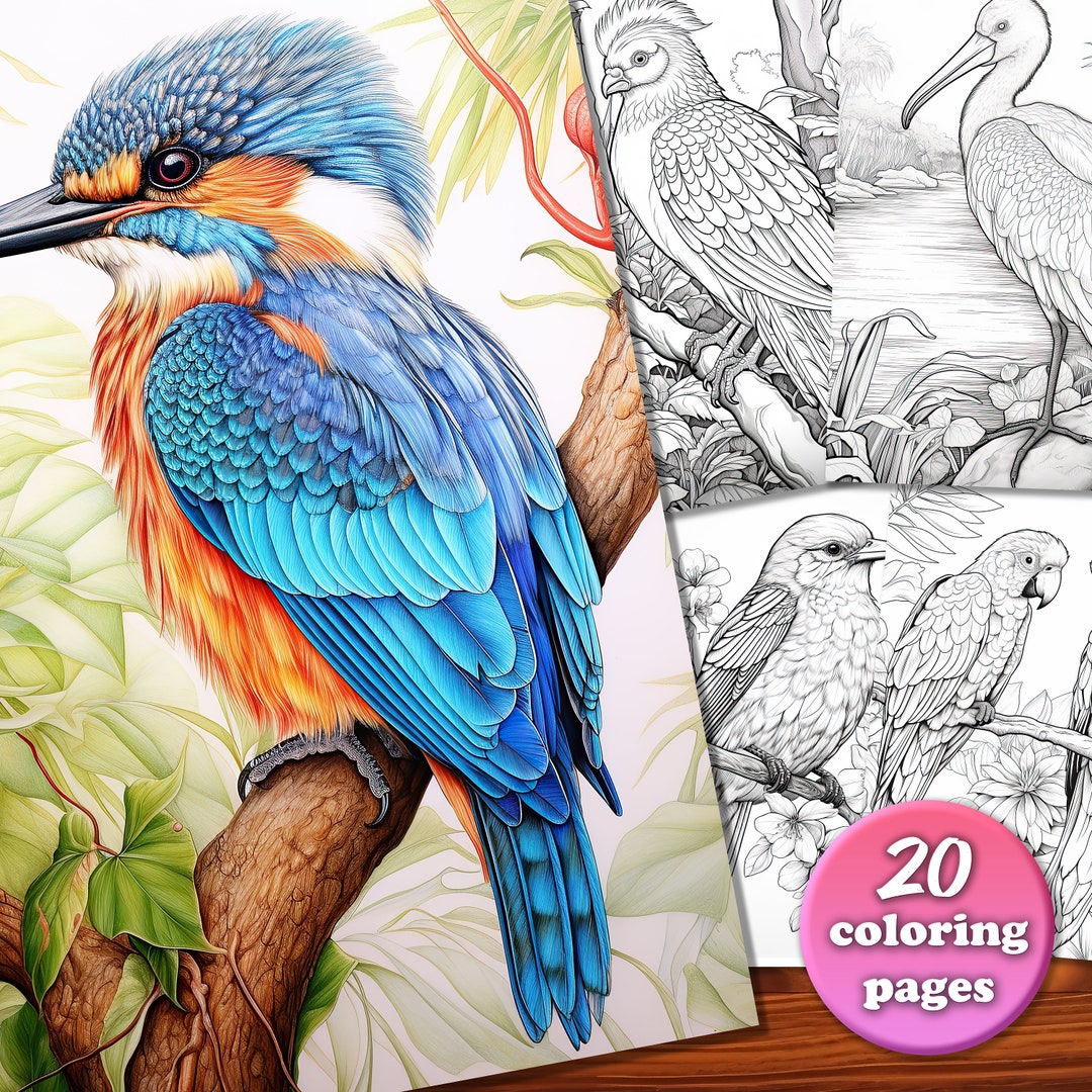 20 Native Birds Coloring Page Book, Adults and Kids, Instant Download ...
