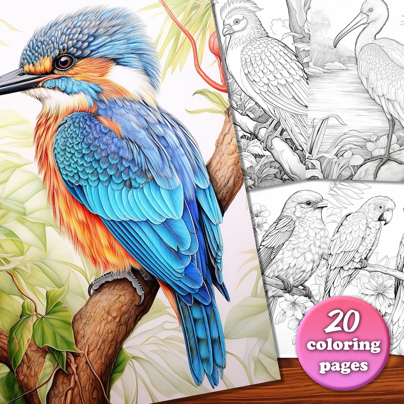 20 Native Birds Coloring Page Book, Adults and Kids, Instant Download ...