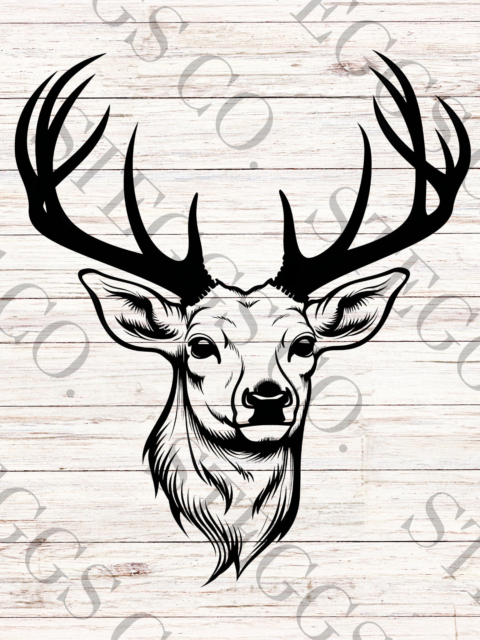 Deer SVG and PNG Bundle, SVG Files for Cricut, Commercial/craft Use ...