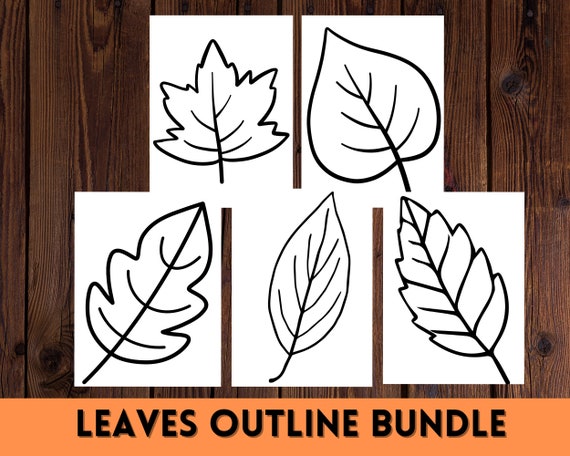 Traceable Leaf Patterns