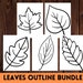 Autumn Leaf Outline Bundle: Printable Fall Designs (PDF, PNG) - Etsy