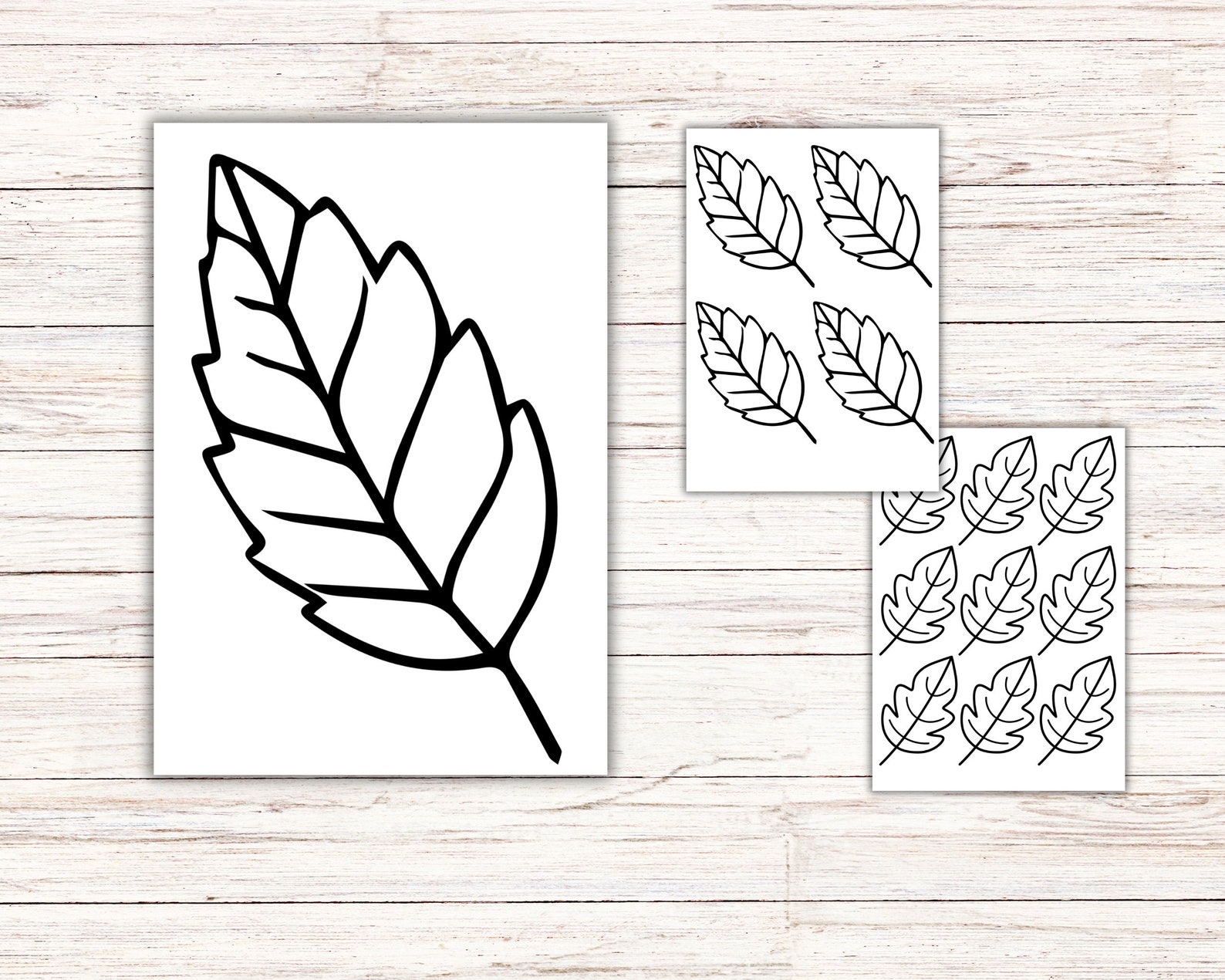 Autumn Leaf Outline Bundle: Printable Fall Designs (PDF, PNG) - Etsy