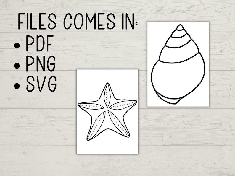 Seashell Outline Bundle, Beach Shell Templates, Coloring Pages (digital ...