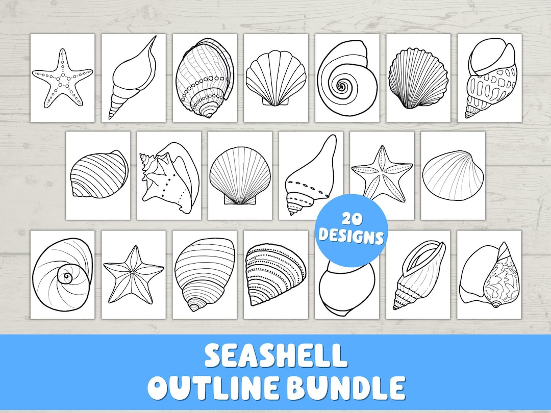 Seashell Outline Bundle, Beach Shell Templates, Coloring Pages (digital ...