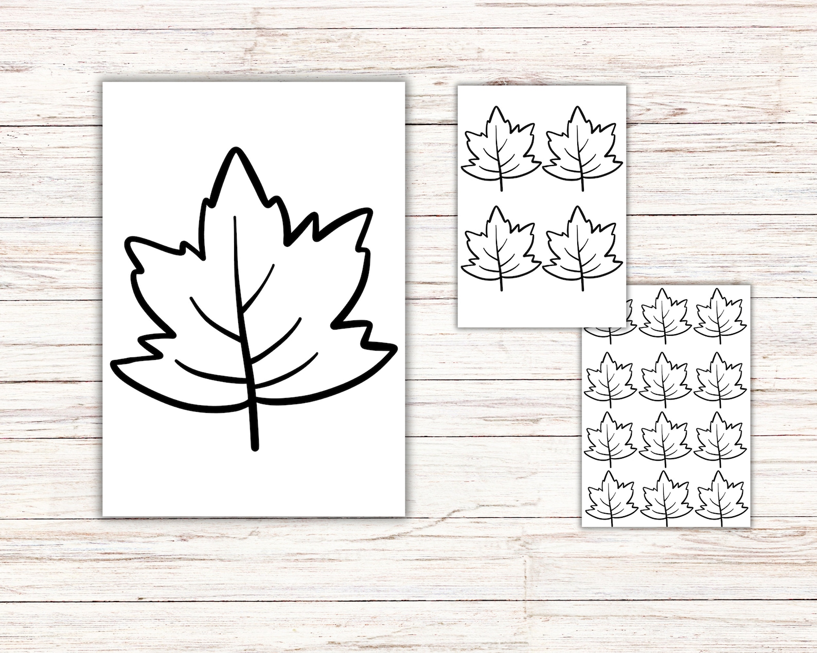 Autumn Leaf Outline Bundle: Printable Fall Designs (PDF, PNG) - Etsy