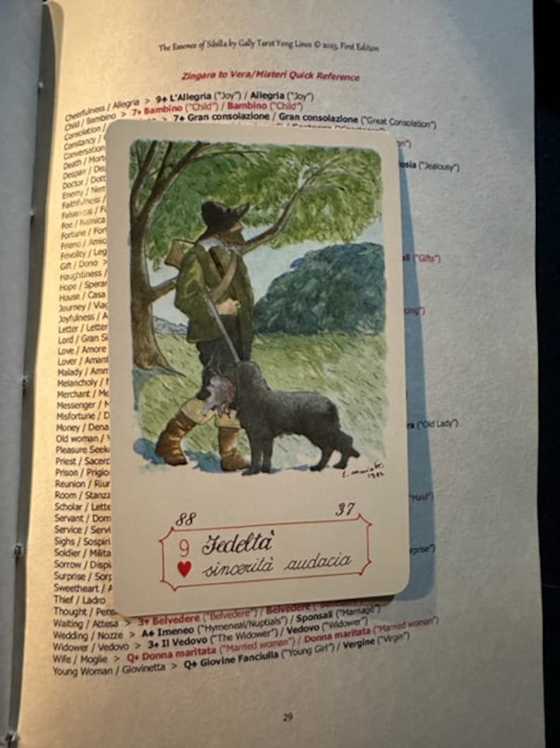 Essence of Sibilla: First Modern English Guide for All 3 Styles of ...