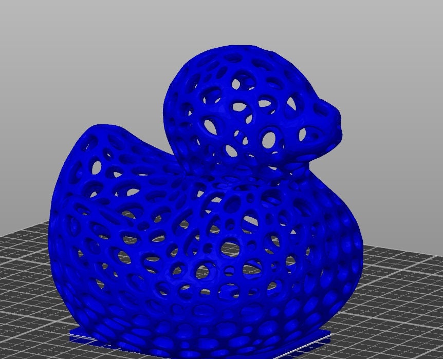 3D Printed Mesh Duck - Etsy
