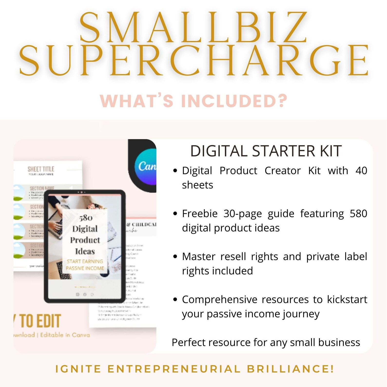 Ready-to-go Digital Starter Kit Bundle With Resell Rights | Includes ...