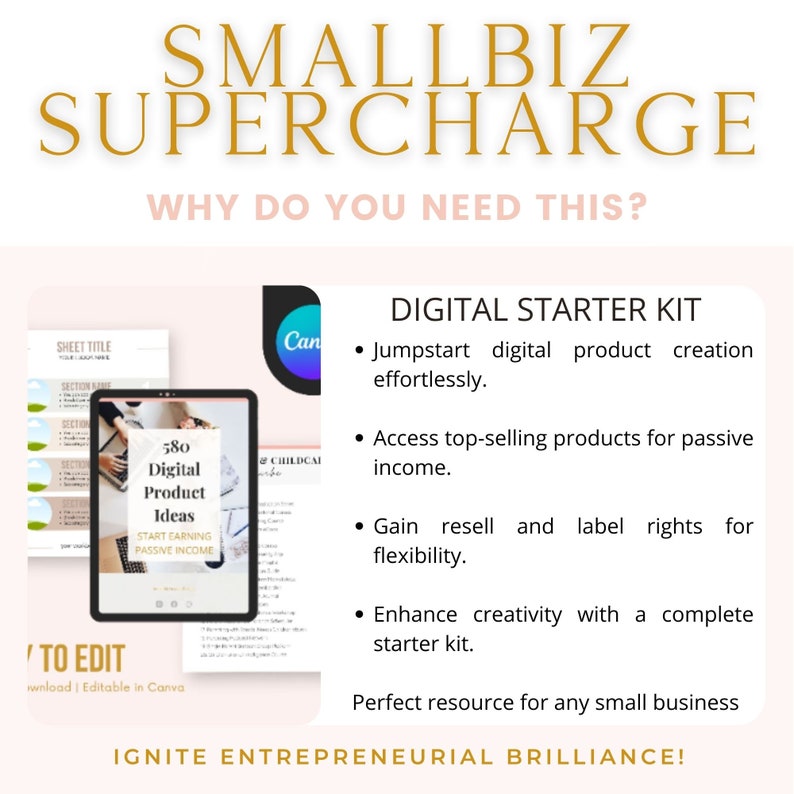 Ready-to-go Digital Starter Kit Bundle With Resell Rights | Includes ...