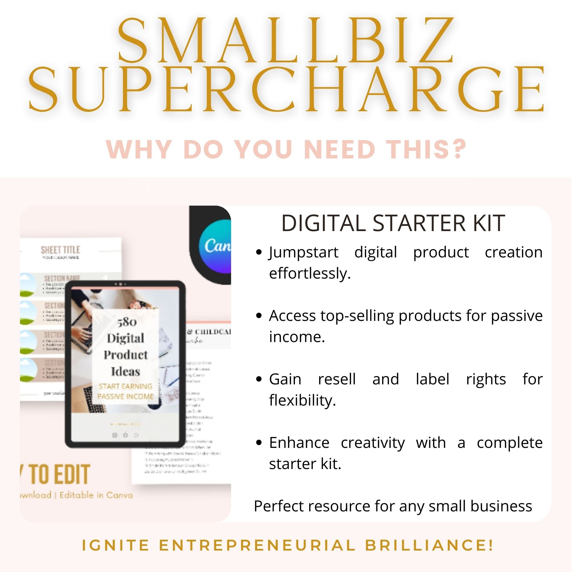 Ready-to-go Digital Starter Kit Bundle With Resell Rights | Includes ...