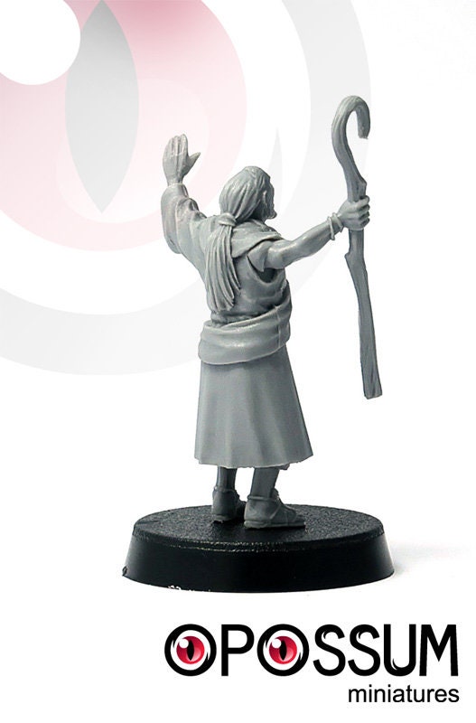 Priest Miniature, Druid 28mm Resin - Etsy