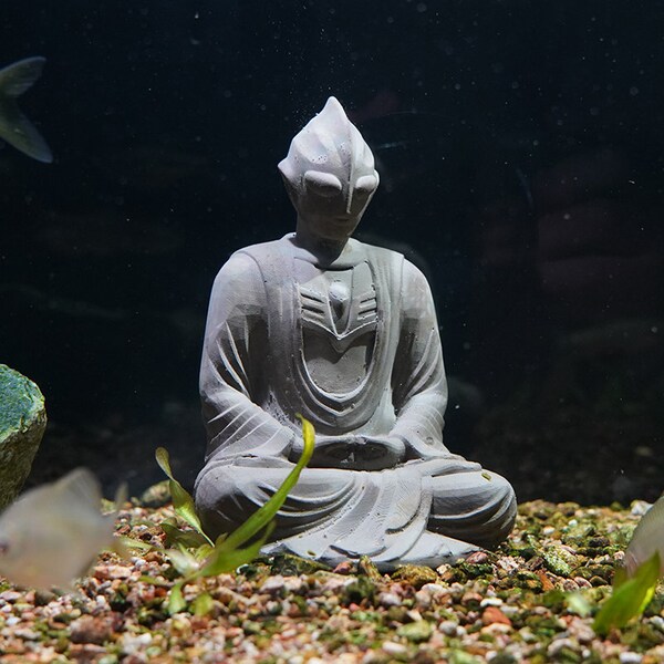 Micro Fish Tank - Etsy