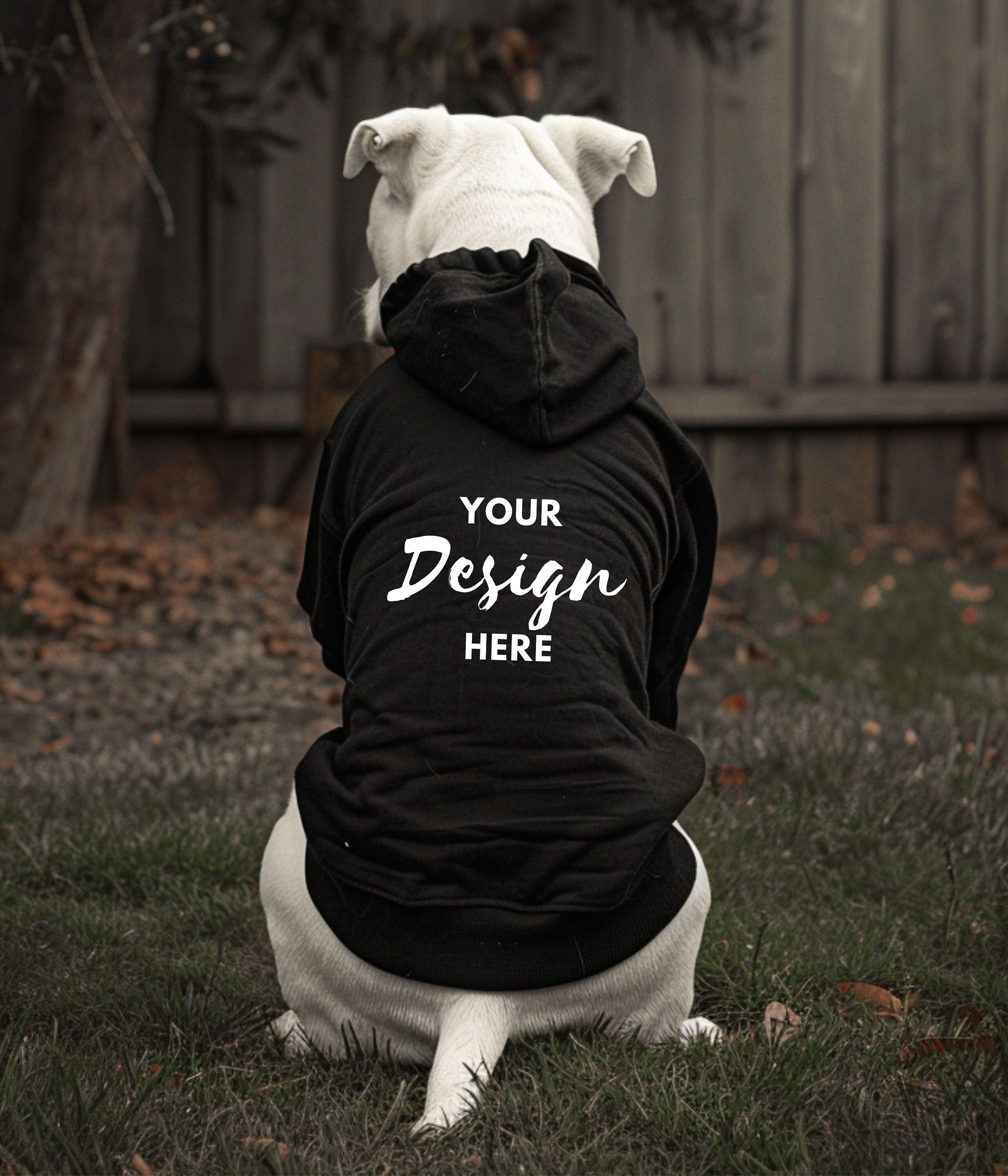 Dog Mockup, Black Hoodie Mockup, Pet Hoodie Template, Dog Hoodie Mocks ...