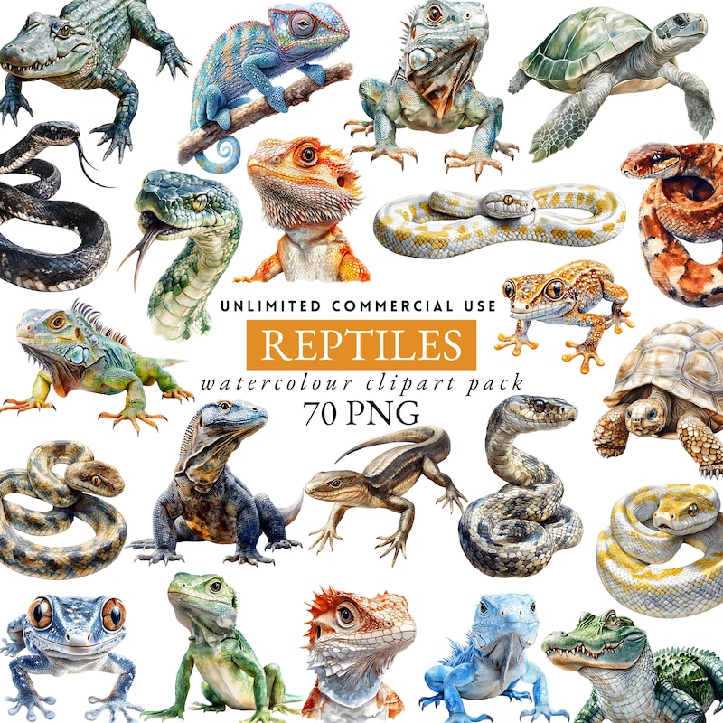 Reptile Print - Etsy