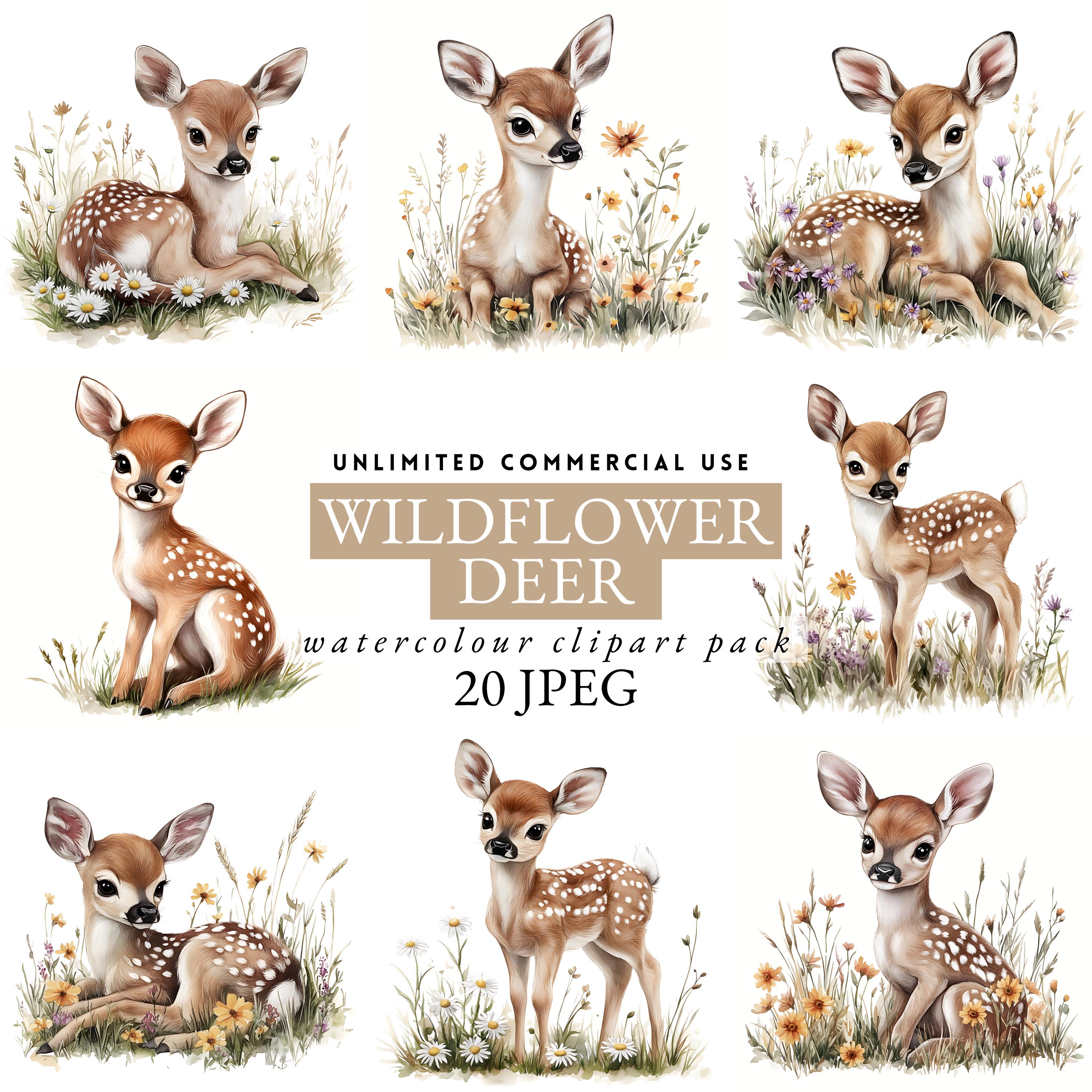 JPEG Fawn Baby Clipart, Baby Deer Wildflower, Nursery Animal Prints ...