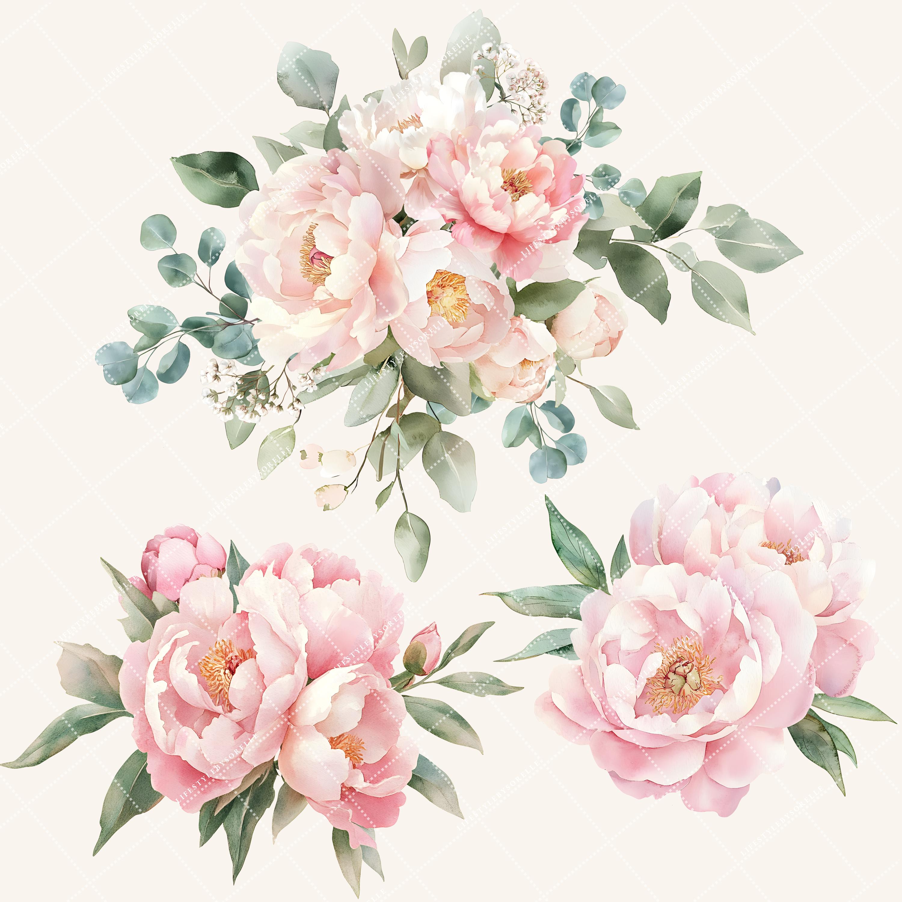 Watercolor Pink Peonies Clipart, Floral Clipart, Blush Pink Flowers ...