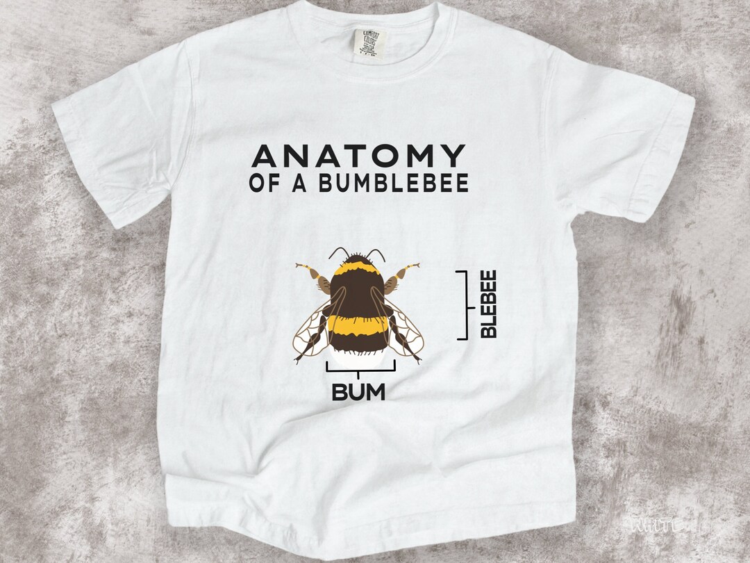 Anatomy of a Bumblebee Tee - Funny Bumblebee Diagram Shirt, Perfect ...
