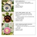 Foldable Turtle Bag - PDF Crochet Pattern - Etsy Canada