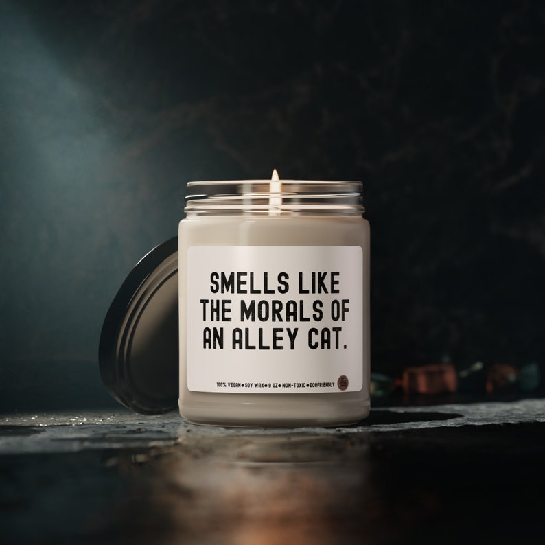 Smells Like Alley Cat Morals, Election 2024 Candle, Funny Meme Candle ...