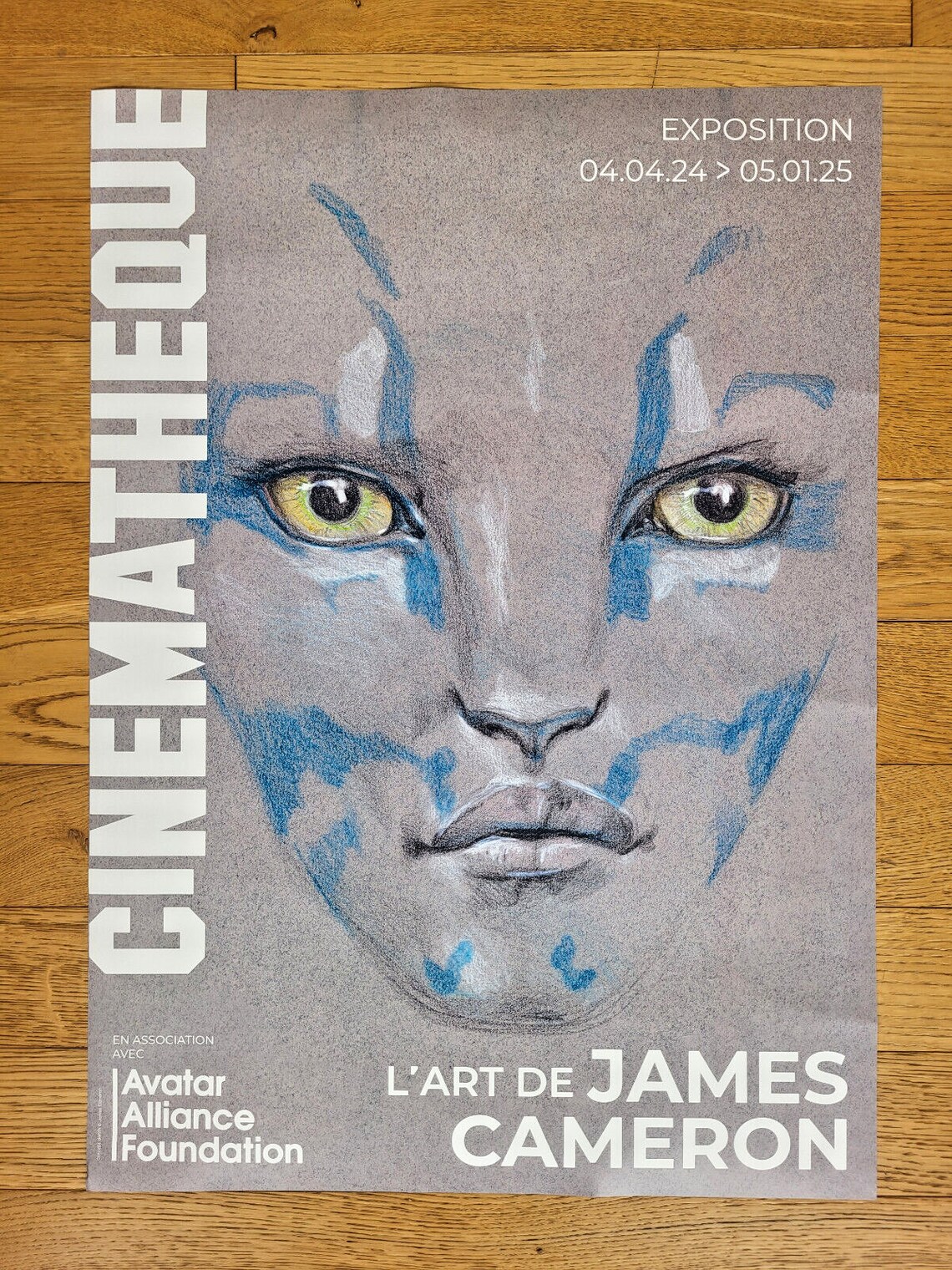 James Cameron Original Exhibition Poster Avatar Cinematheque Paris ...