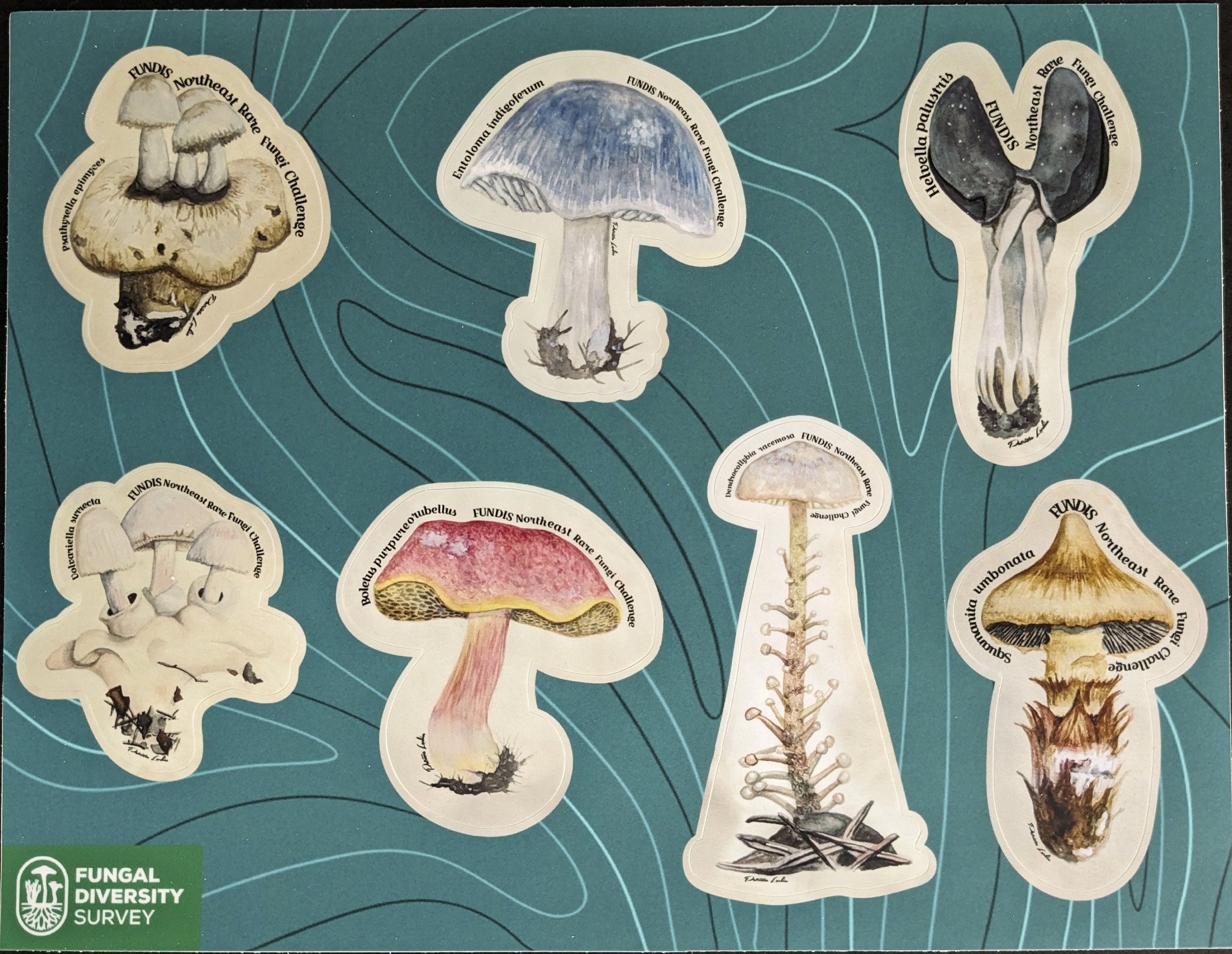 FUNDIS Fundraiser- Sticker Sheets - Etsy