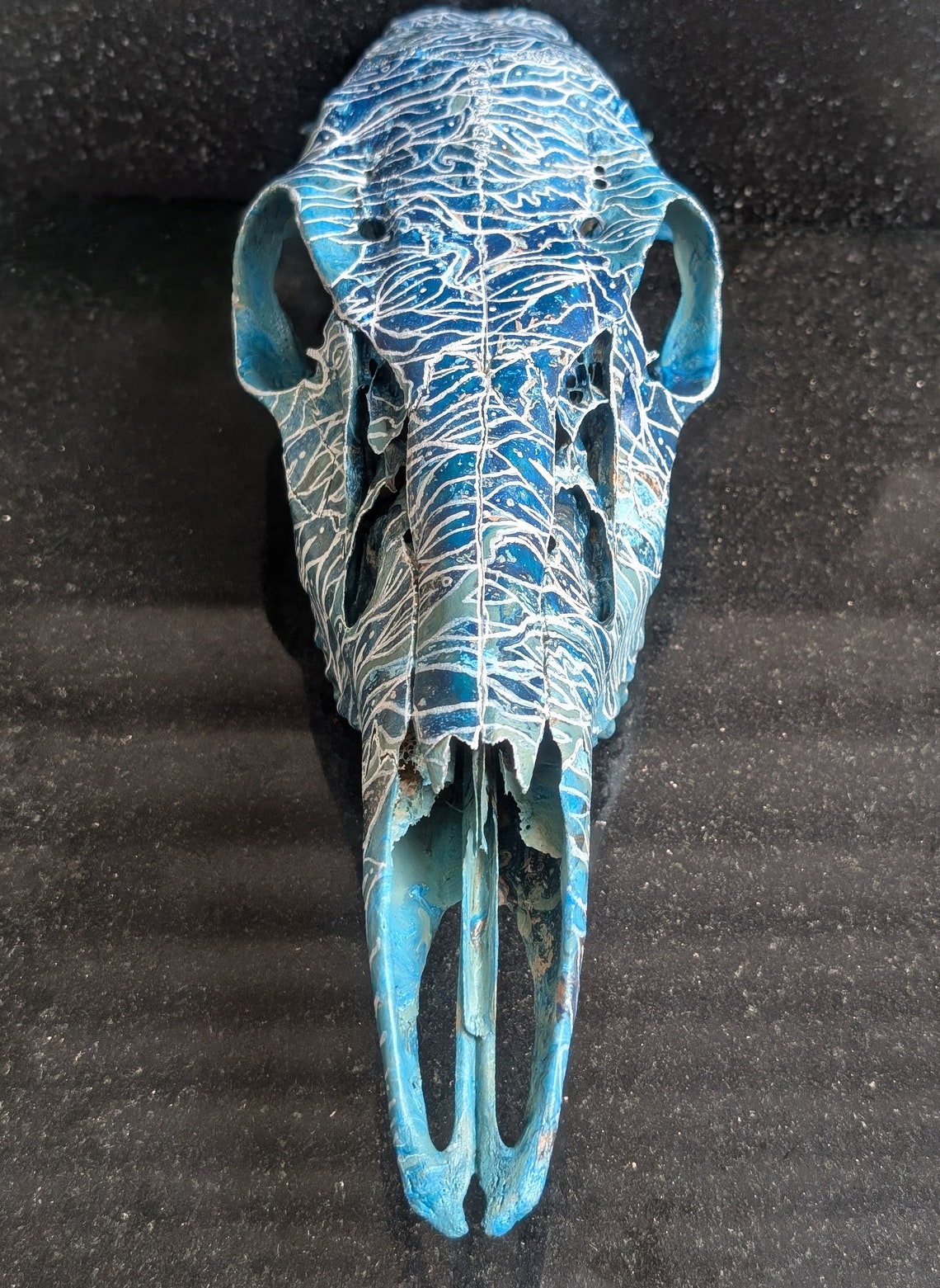 Skull Art- Waves- White Tail Deer Skull - Etsy