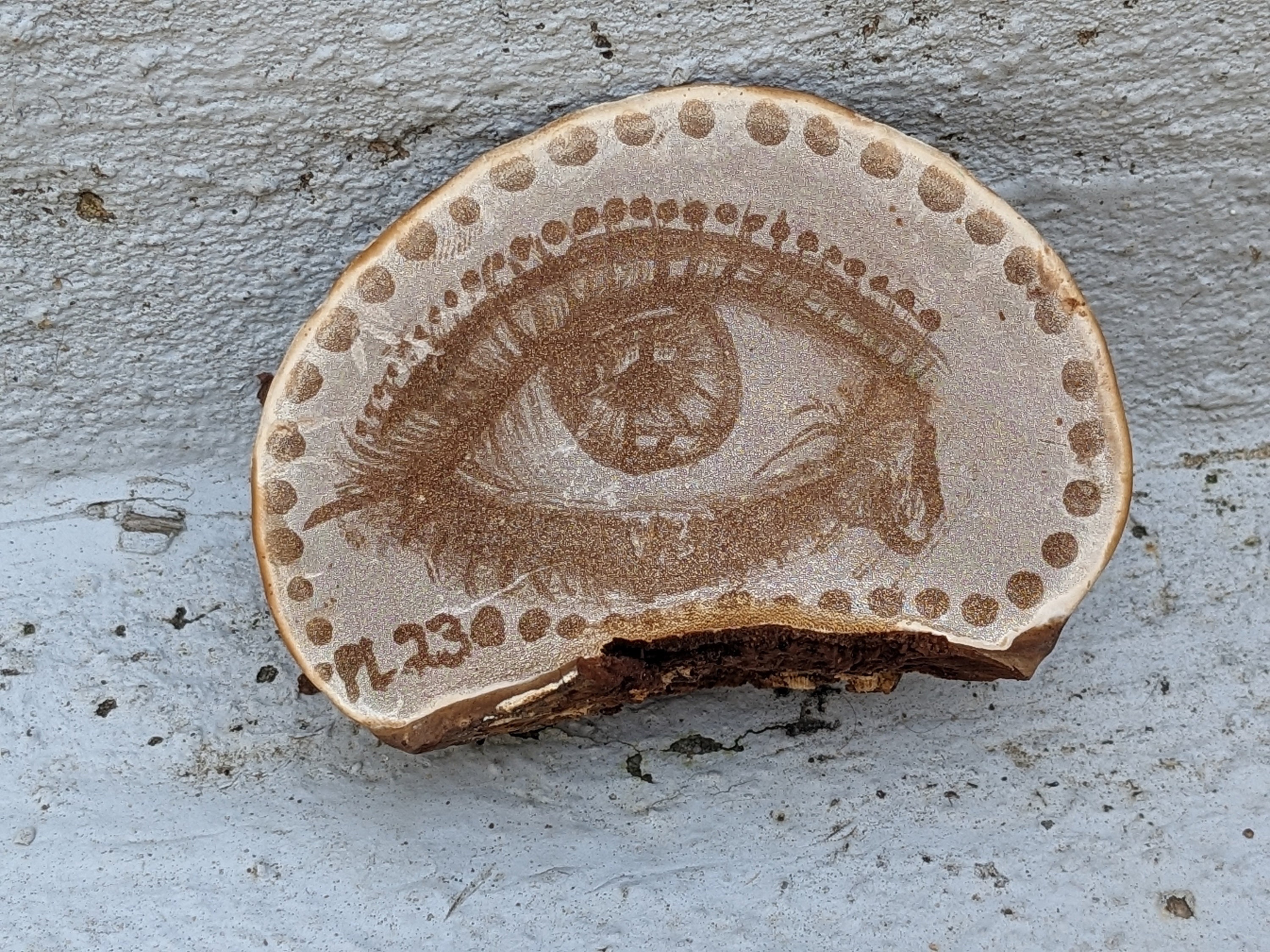 Artist Conk Painting Rainbow Doodles Mushroom Art Nature - Etsy