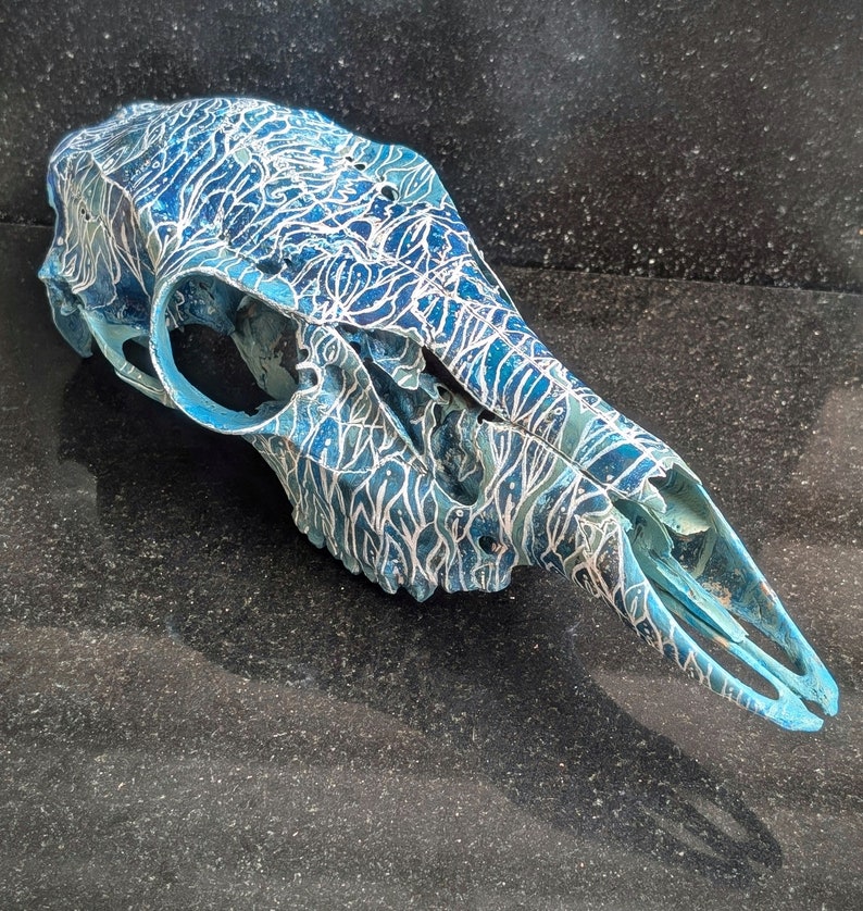Skull Art- Waves- White Tail Deer Skull - Etsy