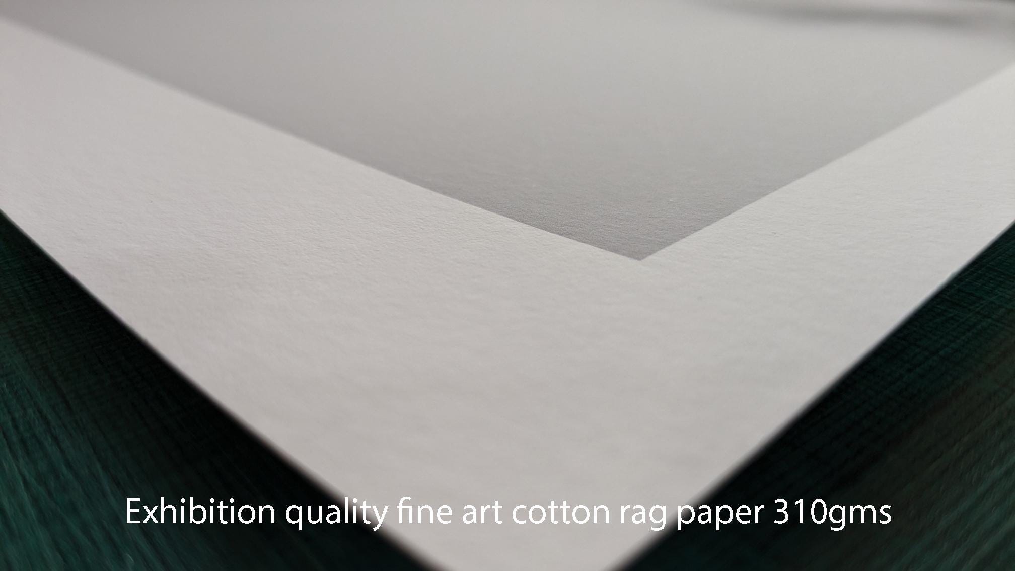 Sheep Shearing, Shed, Fine Art Print, Photographic Print, Rural ...