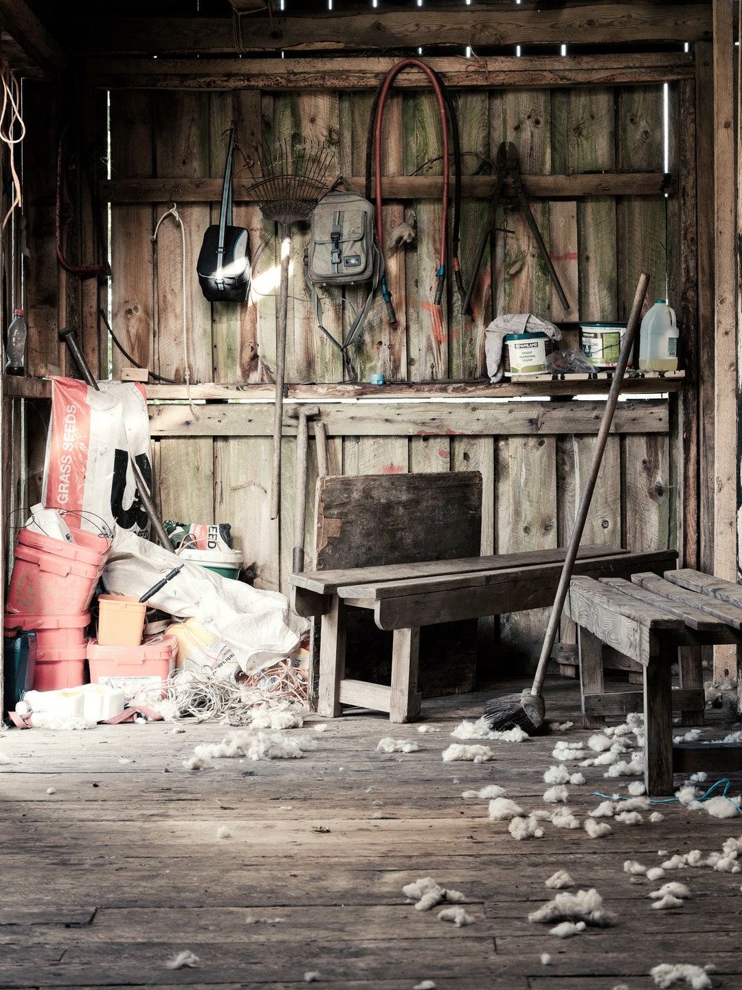 Sheep Shearing Shed Fine Art Print Photographic Print - Etsy