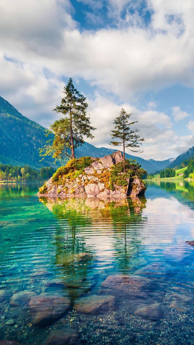Wallpaper of Nature - Etsy