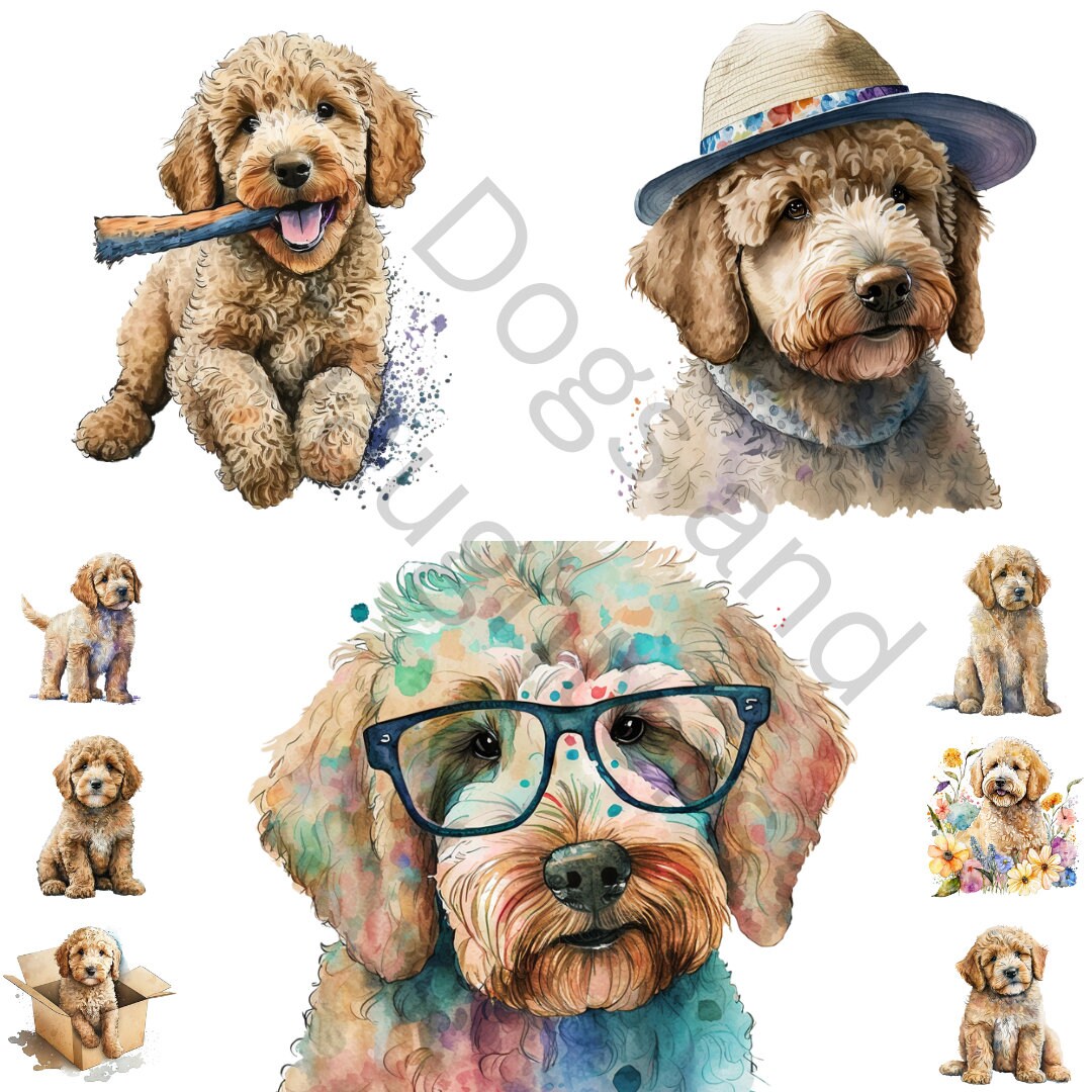 Goldendoodle Clipart, Dog PNG, Golden Doodle PNG, 300 DPI, Cute Dog ...