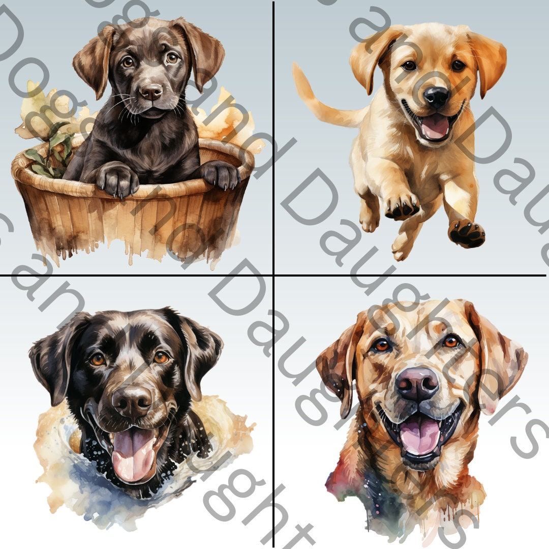Labrador Retriever Clipart, Dog PNG, Labrador Png,puppy Images, Cute ...