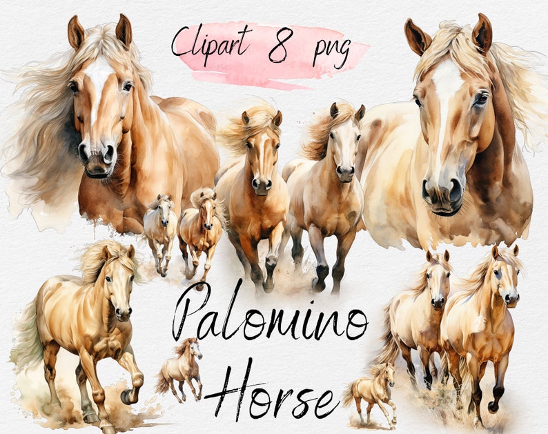 Palomino Horse Clipart: PNG Bundle for Sublimation & Digital Art ...